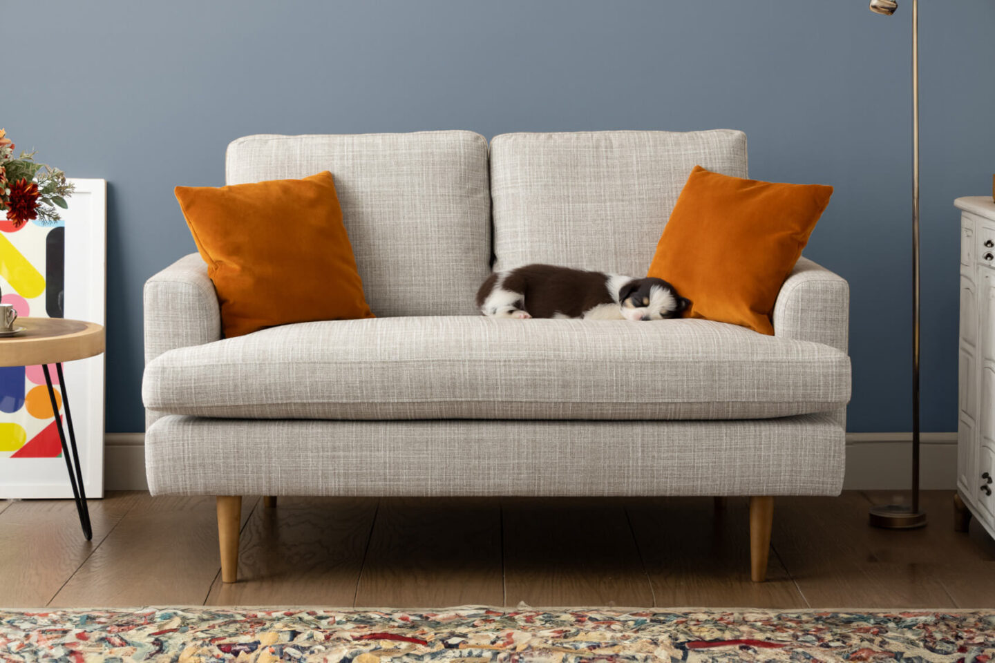 Two Seater Sofa | Comfy 2 Seater Sofa | 2 Seater Velvet Sofa | Habbio